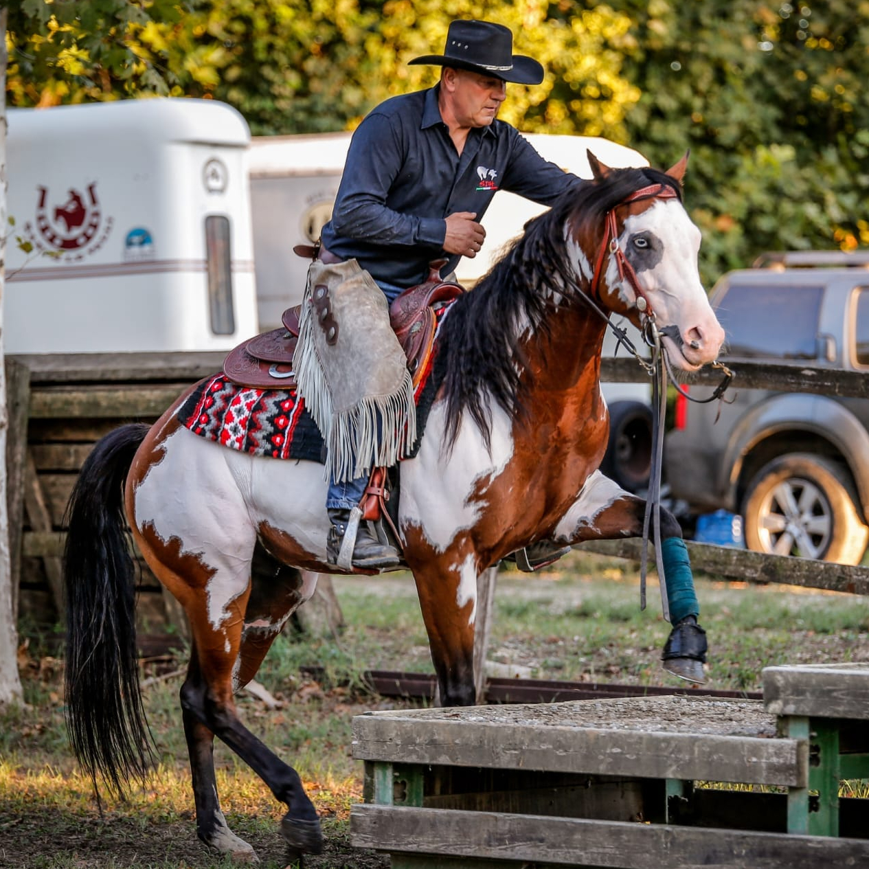 2022 – Il primo blog dedicato agli affascinanti cavalli paint APHA.